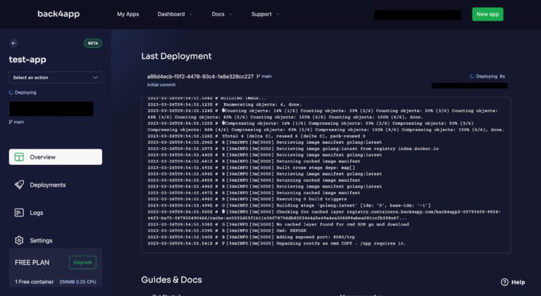 Deploy a Containerized Go Application: The Ultimate Guide.