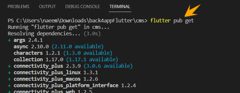 How to Build a Flutter App with a Serverless Backend?